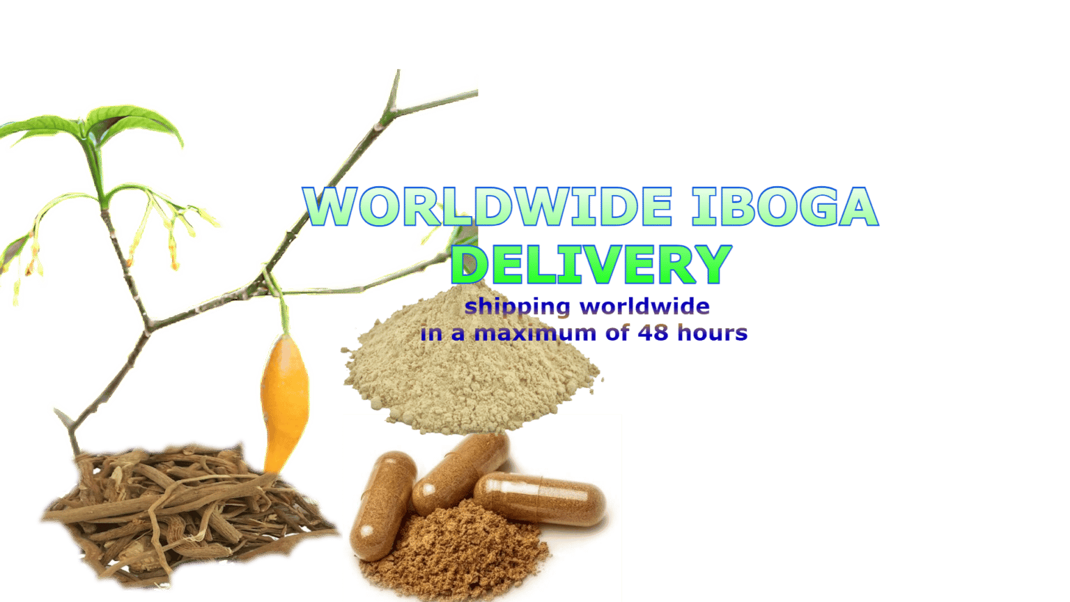 Buy ibogaine online - worldwide iboga delivery - ibogaine for sale online